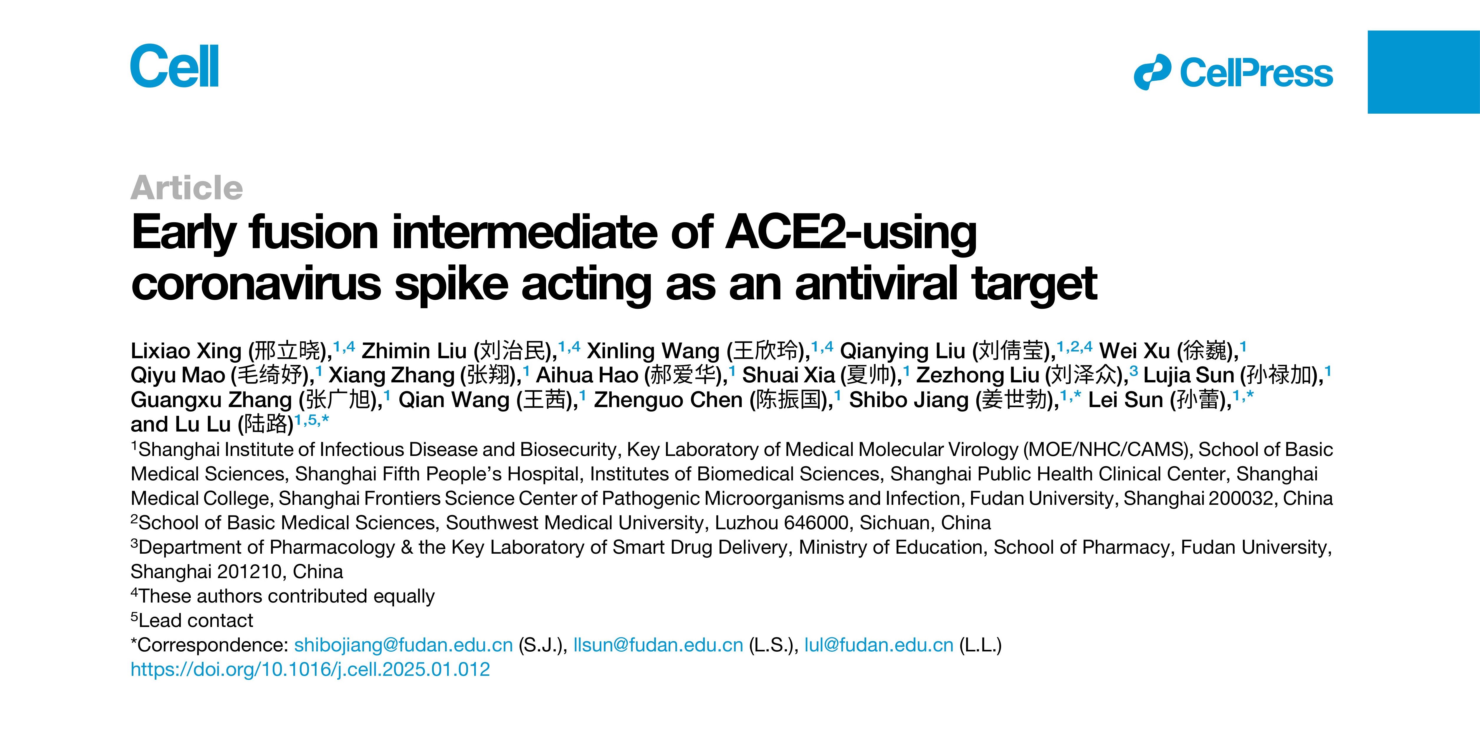 Cell | 孙蕾团队与合作者发现ACE2受体诱导的冠状病毒刺突蛋白早期融合中间态构象并设计高效双功能抗病毒药物