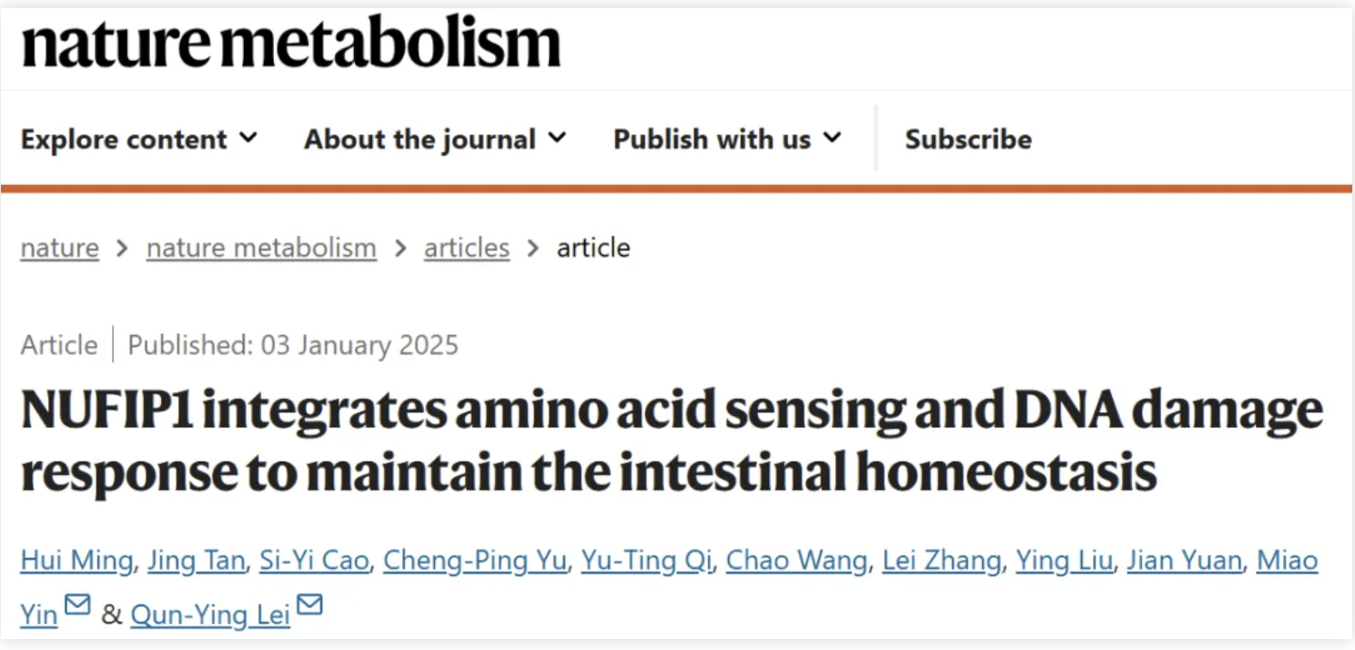 Nat Metab | 雷群英团队揭示由NUFIP1介导的氨基酸感知在DNA损伤应答中的机制及其在肠道上皮稳态维持中的关键作用