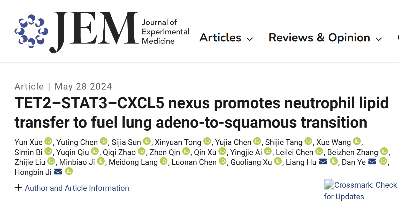 Journal of Experimental Medicine丨叶丹团队与合作者发现TET2促进肺腺-鳞癌转分化机理
